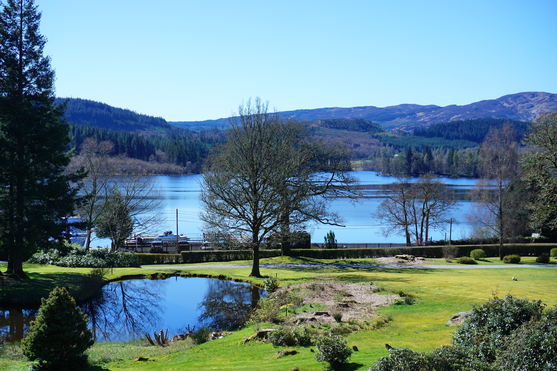 More Scotland: Aberfoyle + Stirling - The February Fox